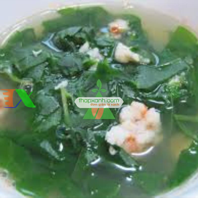 Hạt giống rau Mùng Tơi (Mồng tơi) - Công nghệ Nông Nghiệp