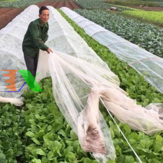 Màng Nilon che phủ gieo Mạ MPE-V007, Màng PE chắn sương gió trồng Hoa ...