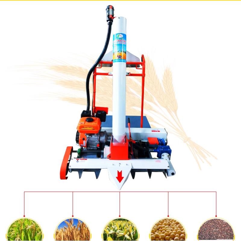 Băng tải đóng gói lúa DGL-170A, Máy đóng gói lúa, Máy thu gom nông sản ...